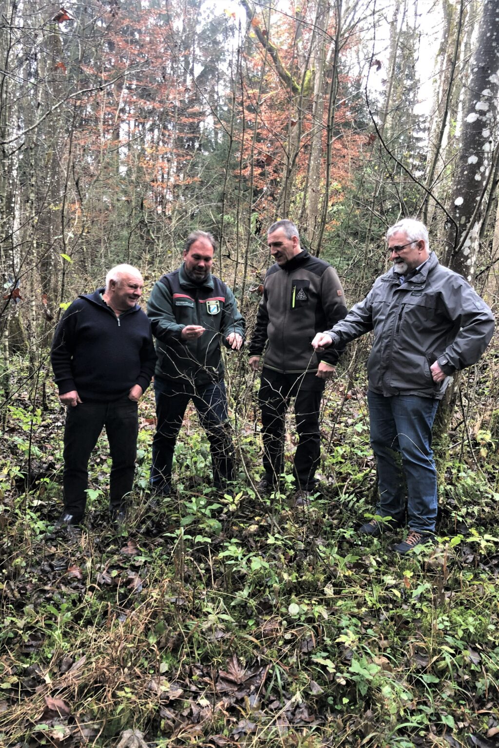 Schlechte Werte für den Bergwald: Förster mahnen zu ...
