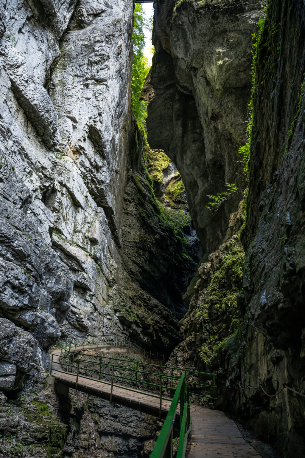 Breitachklamm bei Oberstdorf ist Deutschlands Naturwunder 2025 | AllgäuHIT